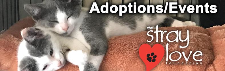 StrayLoveFoundation